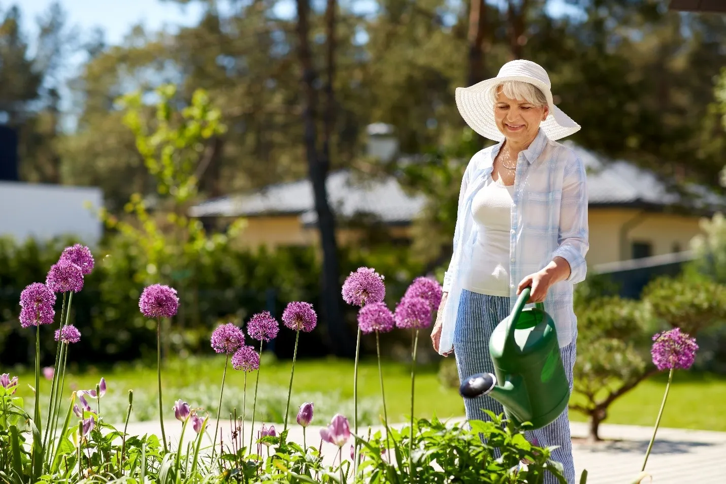 Gardening delivers surprising health benefits for older people - Blog